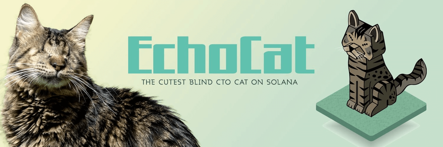 $ECHO Cat Solana